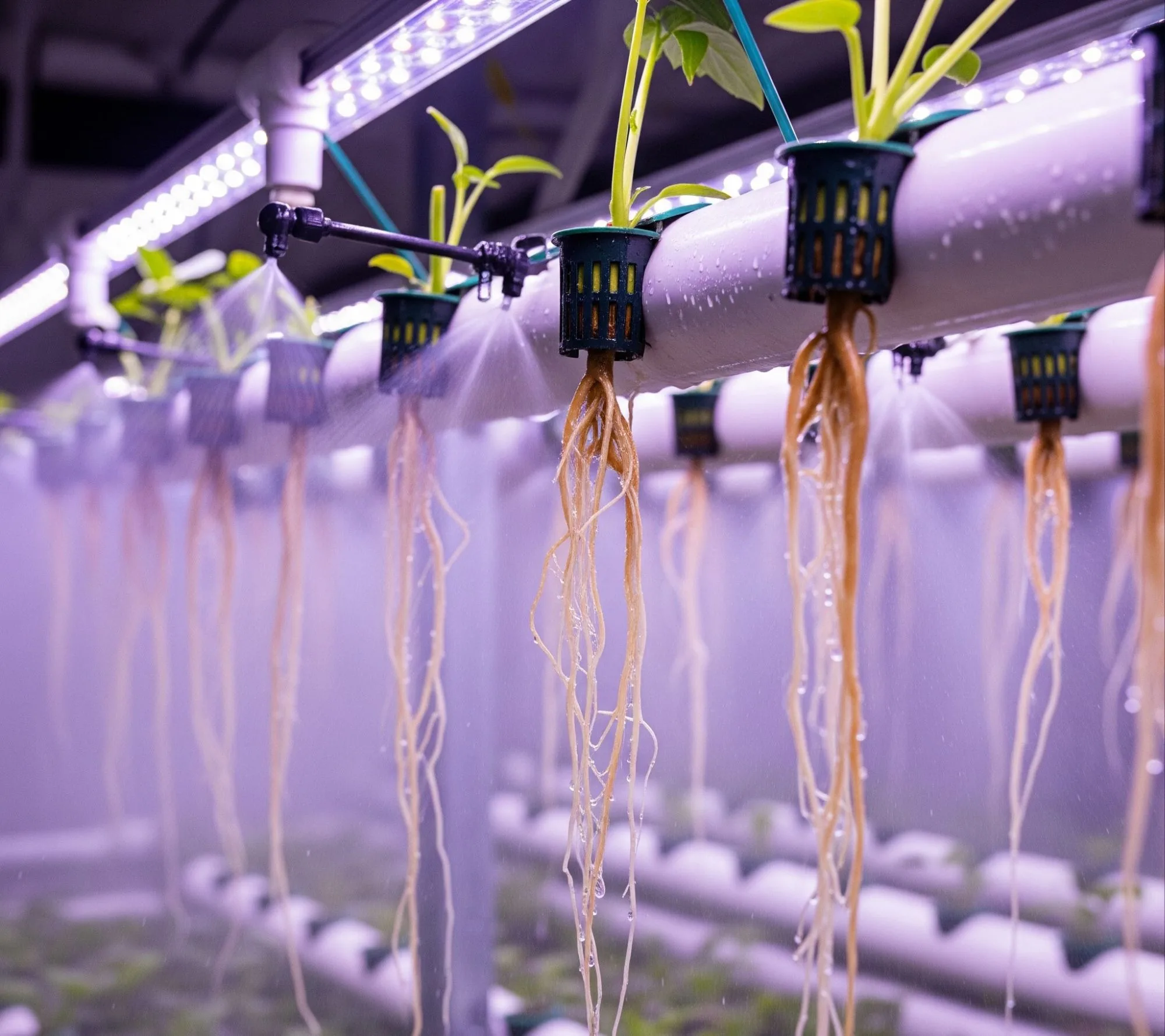 Aeroponic Tower Farming Systems: What They Are & How They Work - Lootux